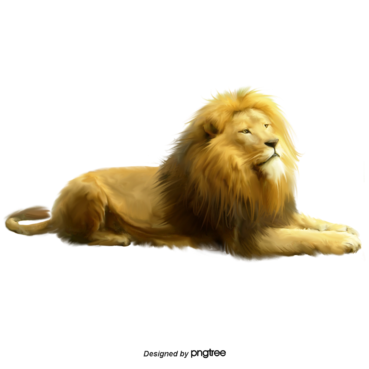 Jail og Spawn skript | Scripts | McSkripts